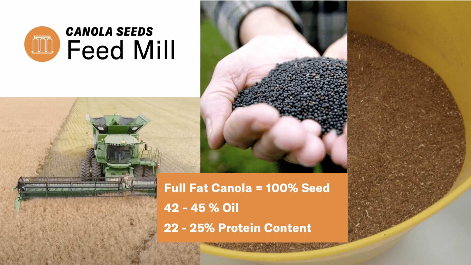 Rubisco Seeds – We identify and supply high-yielding canola hybrids to ...